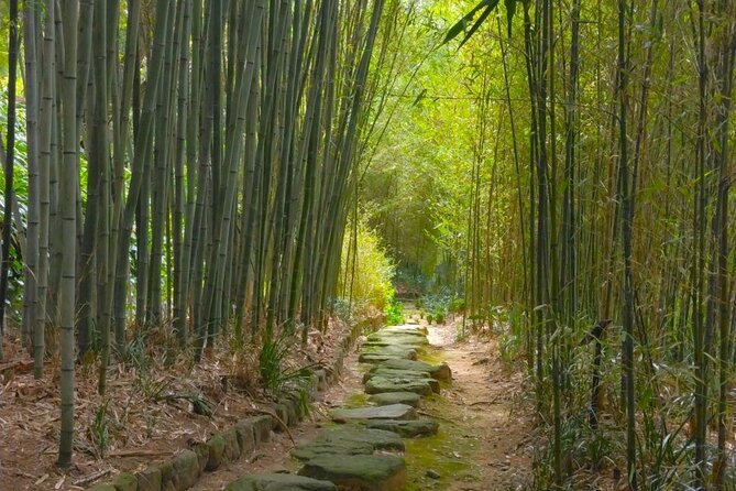 Kyoto Sakura & Hidden Gems of Timeless Tradition - Key Points