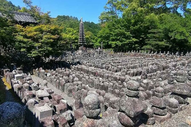 Kyoto Sakura & Hidden Gems of Timeless Tradition - Health and Accessibility