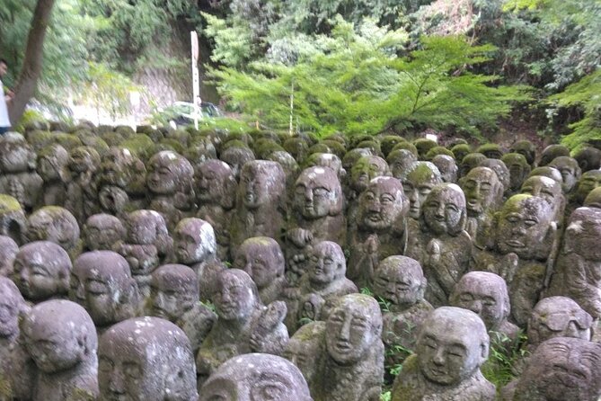 Kyoto Sakura & Hidden Gems of Timeless Tradition - Reviews and Cancellation Policy