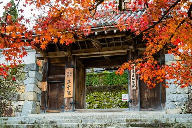 Kyoto Sansen-in Arashiyama Train 1 Day Tour from Osaka or Kyoto - Key Points