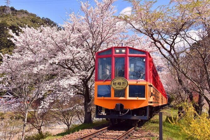 Kyoto Sansen-in Arashiyama Train 1 Day Tour from Osaka or Kyoto - Practical Considerations and What You Should Know