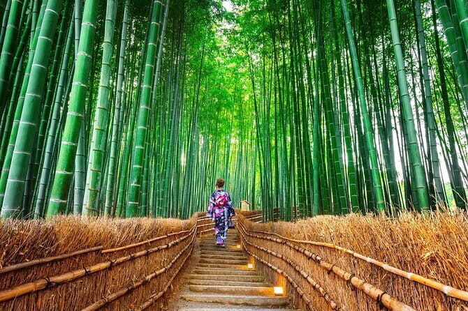 Kyoto Sansen-in Arashiyama Train 1 Day Tour from Osaka or Kyoto - Final Thoughts
