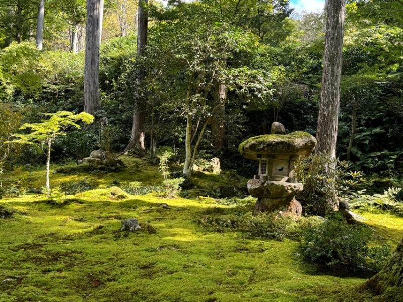 Kyoto: Scenic Day Trip to Ohara and Sanzen-in Temple - Cultural and Culinary Highlights