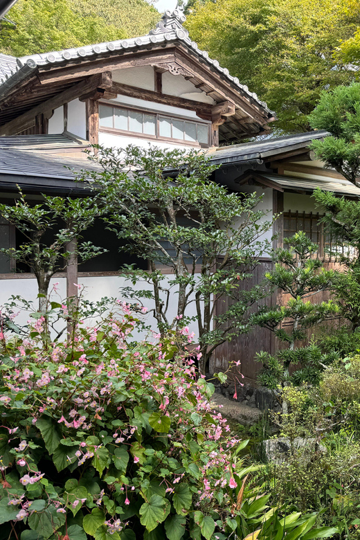 Kyoto: Scenic Day Trip to Ohara and Sanzen-in Temple - Meeting Point and Guide Details