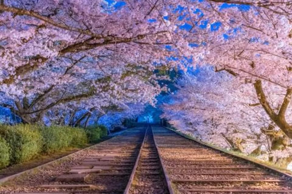 KYOTO: Sophisticated Harmony Journey: 4 Calming Scenes - Savoring Unagi at Gion Uoke-ya U