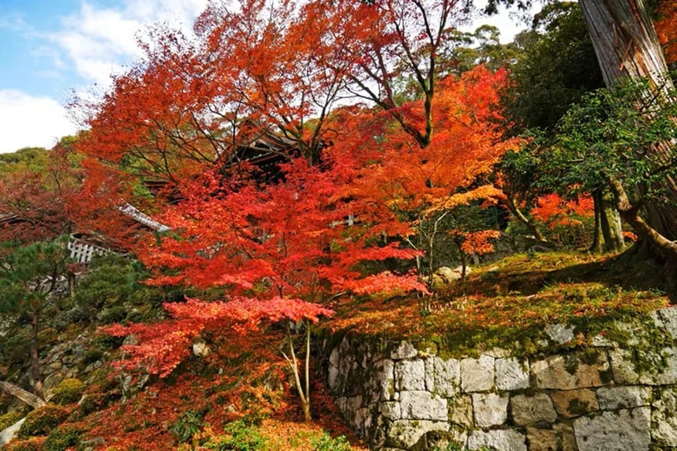 KYOTO: Sophisticated Harmony Journey: 4 Calming Scenes - Inclusive Tour Details