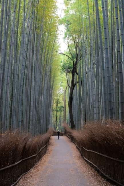 Kyoto: Spiritual and Traditional Customizable Day Tour - FAQ