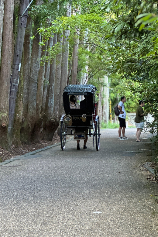 Kyoto: Stroll Around the Depths of Arashiyama - Key Points