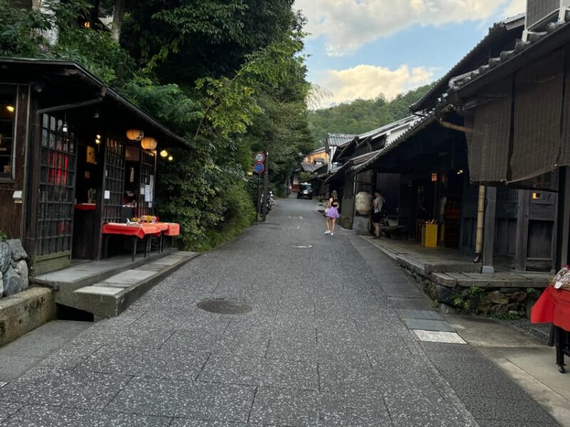 Kyoto: Stroll Around the Depths of Arashiyama - Panoramic Views From Arashiyama Park