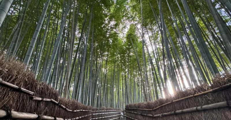 Kyoto: Stroll Around the Depths of Arashiyama - Frequently Asked Questions