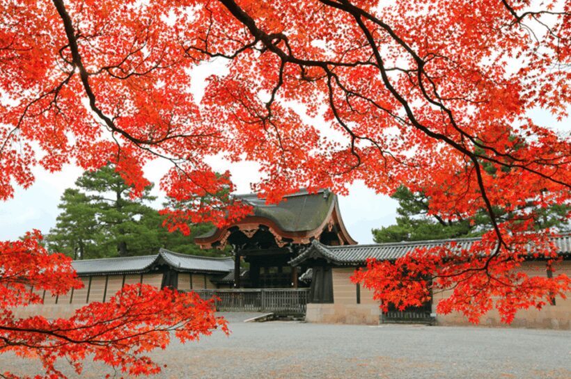 Kyoto: Tailored E-Bike Tour to Highlights & Hidden Gems - FAQ