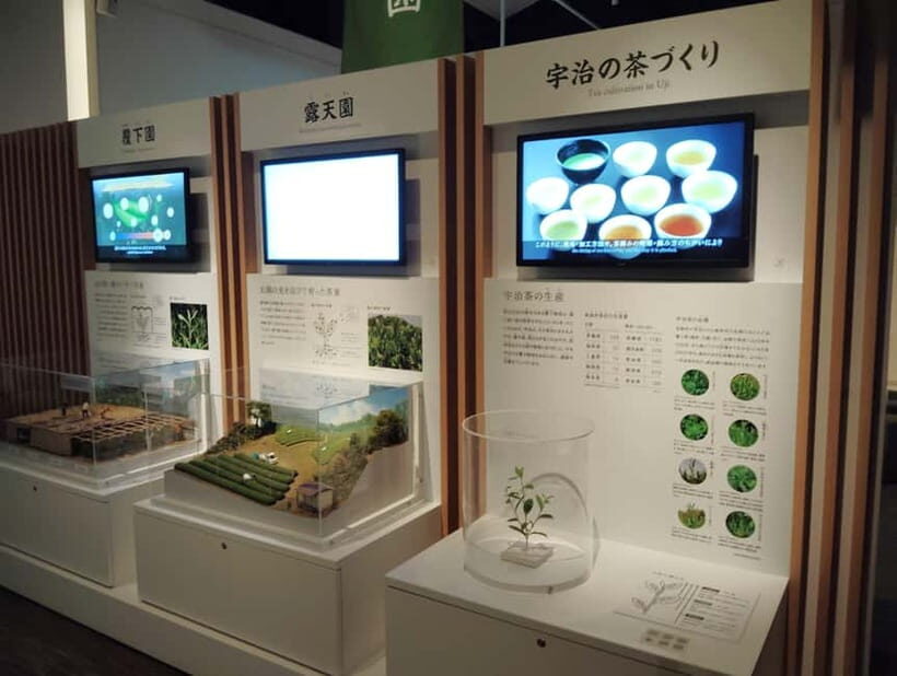 Kyoto: Tea Museum and Tsuen Teahouse Guided Tour - FAQs