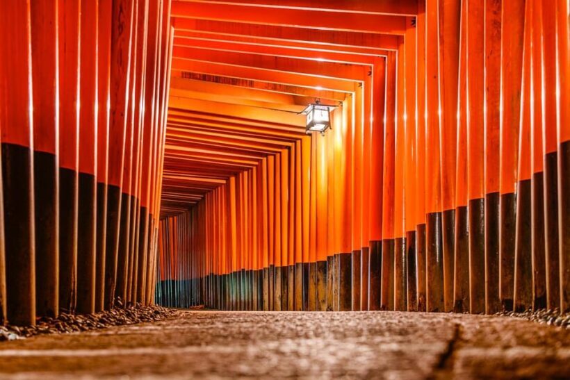 Kyoto: The best in one day. Private tour, licensed guide. - Authenticity and Value for Travelers