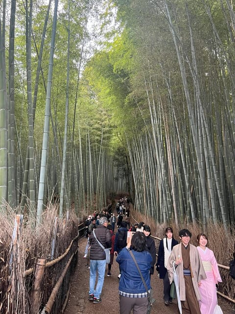 Kyoto: The Heart of Arashiyama, Bamboo Forests and Sacred Temples - Itinerary Highlights