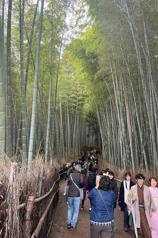 Kyoto: The Heart of Arashiyama, Bamboo Forests and Sacred Temples - Spiritual and Natural Connection
