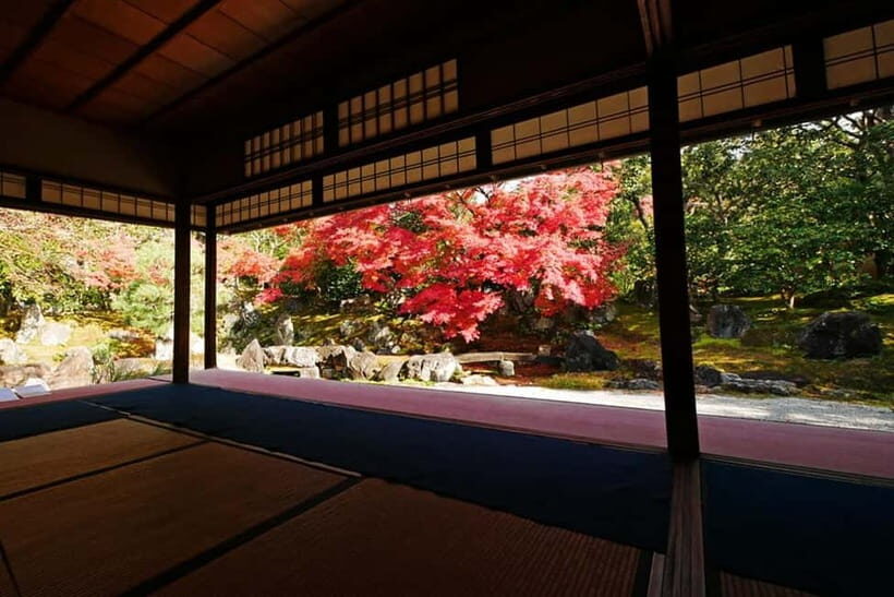Kyoto: Timeless Kodaiji - Journey Through Historic Kyoto - Introduction to the Tour Experience