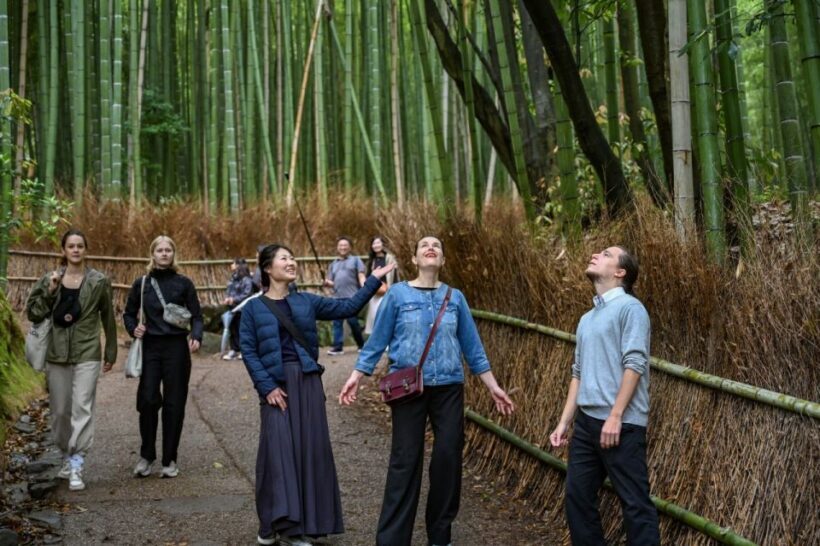 Kyoto to Arashiyama Day Trip - Private & Personalized - Key Points