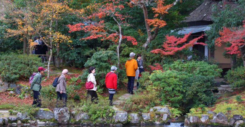 Kyoto to Nara: Private Day Trip With a Local - Experience and Highlights