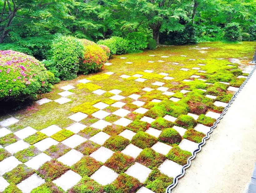 Kyoto: Tofuku-ji Temple and Komyo-in Guided Walking Tour - FAQ