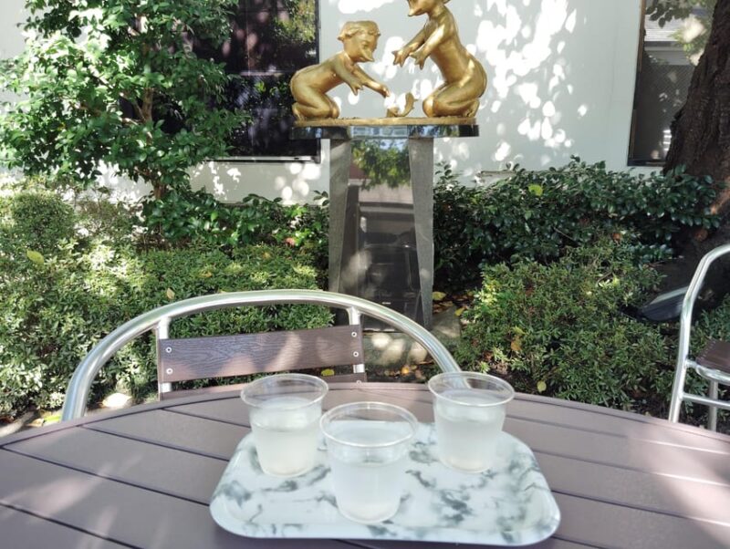 Kyoto: Top Sake Region Tour – 2.5 Hours, 3 Tasting Spots - Tour Inclusions and Important Details