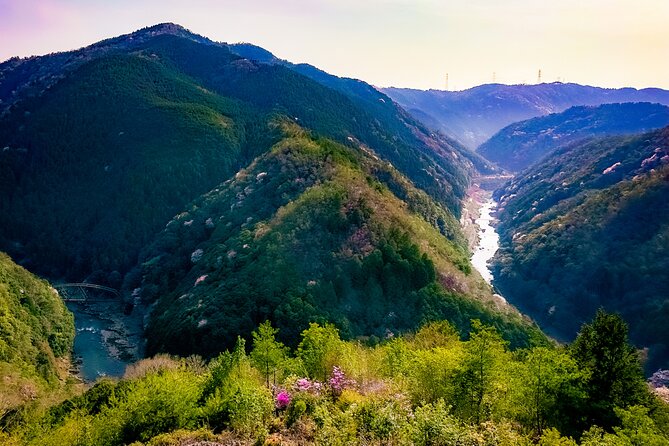 Kyoto Tour by Private Van - Private Bamboos & Fushimi Red Gates - Tour Experience