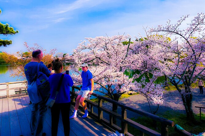 Kyoto Tour by Private Van - Private Bamboos & Fushimi Red Gates - Constructive Criticism