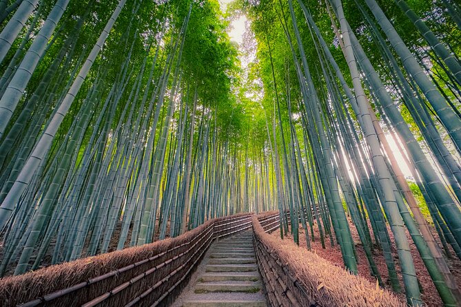 Kyoto Tour by Private Van - Private Bamboos & Fushimi Red Gates - Highlights