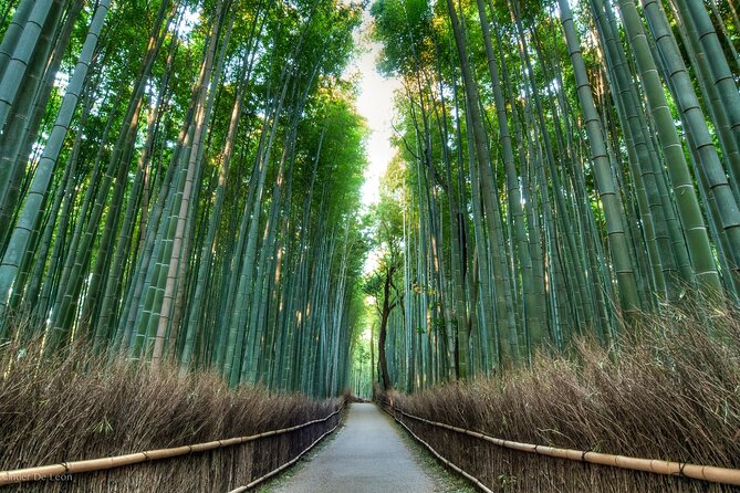 Kyoto Tour With English Speaking Chauffeur - Exploring Kinkakuji and Ginkakuji