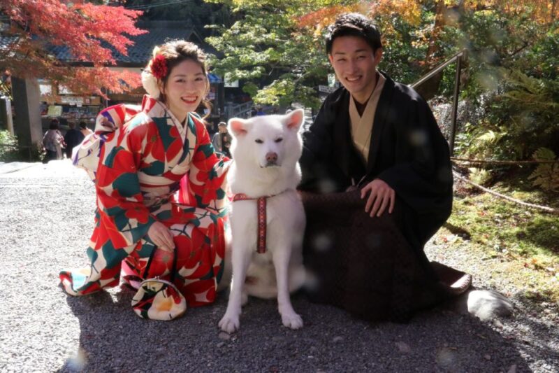 Kyoto: Traditional Kimono Rental With Seasonal Kimono - Considerations and Suitability