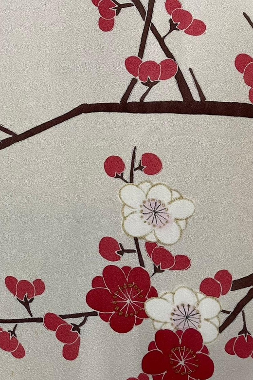 Kyoto: Traditional Yuzen Dyeing Experience - Participant Guidelines and Restrictions