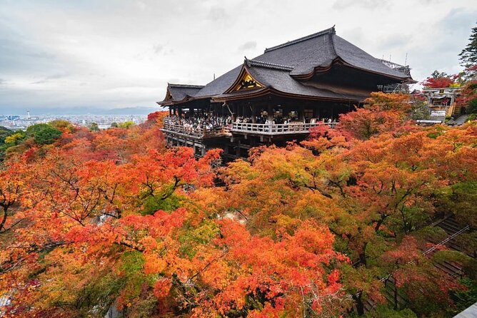 Kyoto & Uji: Full Day Sightseeing Tour From Osaka or Kyoto - Meeting and Pickup Arrangements