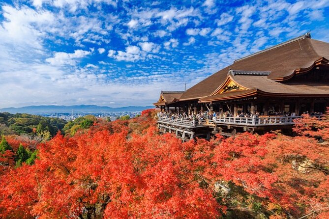 Kyoto & Uji: Full Day Sightseeing Tour From Osaka or Kyoto - Accessibility Considerations
