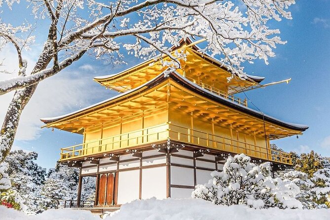 Kyoto & Uji: Full Day Sightseeing Tour From Osaka or Kyoto - Tour Participant Reviews and Feedback