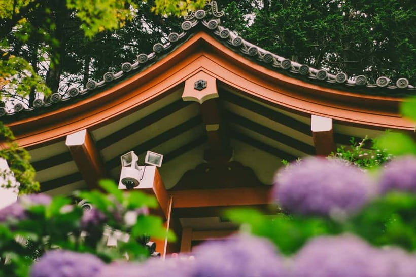 kyoto Uji Private Luxury Car Tour: The Capital of Matcha - Who Is This Tour Best For?