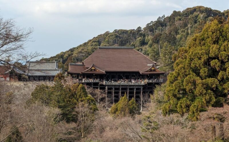 Kyoto: Unscripted Walking Tours W/Locals 3h 5h 8h - Key Points