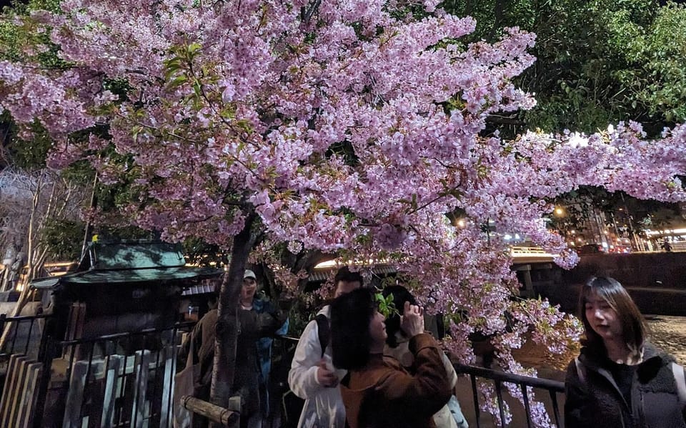 Kyoto: Unscripted Walking Tours W/Locals 3h 5h 8h - Tour Structure