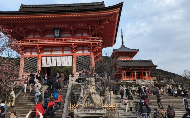 Kyoto: Unscripted Walking Tours W/Locals 3h 5h 8h - Important Considerations