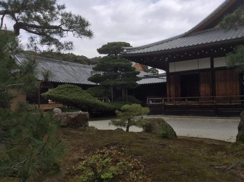 Kyoto Unveiled: Personalized Private Tour - Taking in the Cultural Experiences