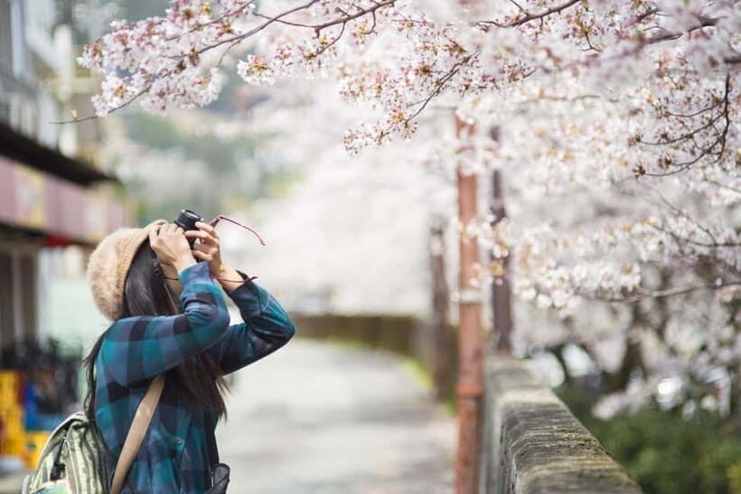 Kyoto Unveiled: Private Tour of Heritage, Beauty & Spirit - Key Points