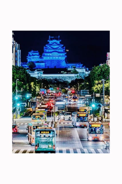 Kyoto Visiting Tour - Key Points