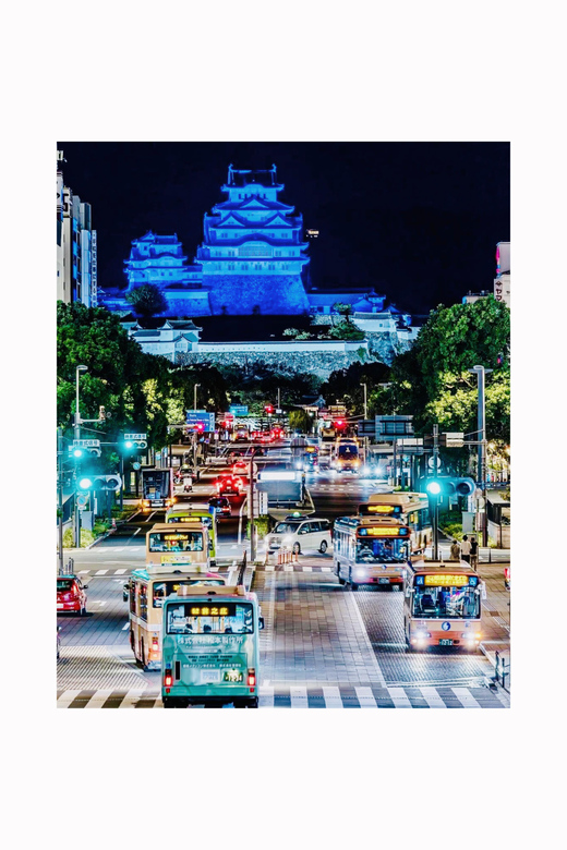 Kyoto Visiting Tour - Itinerary Highlights