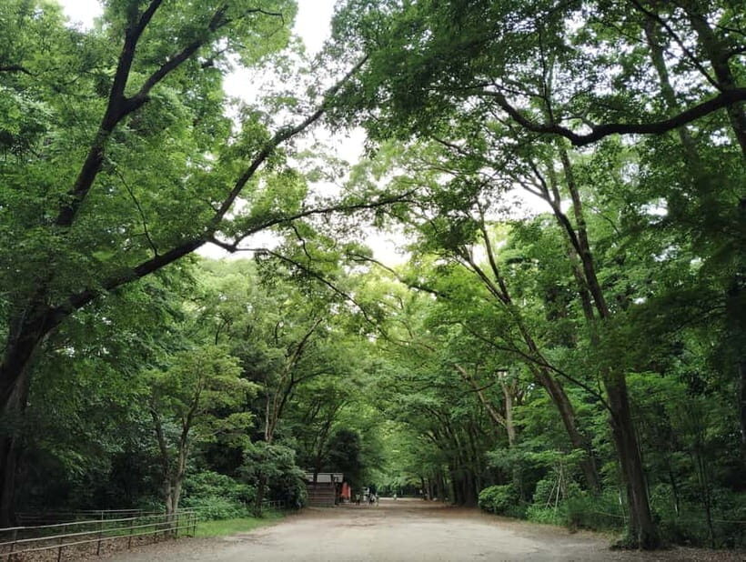 Kyoto: Walk Through History in Shimogamos Sacred Woods - Who Will Love This Tour?