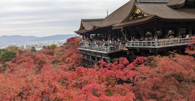 Kyoto: Walking tour Kiyomizu, Geisha District with a Local - Key Points