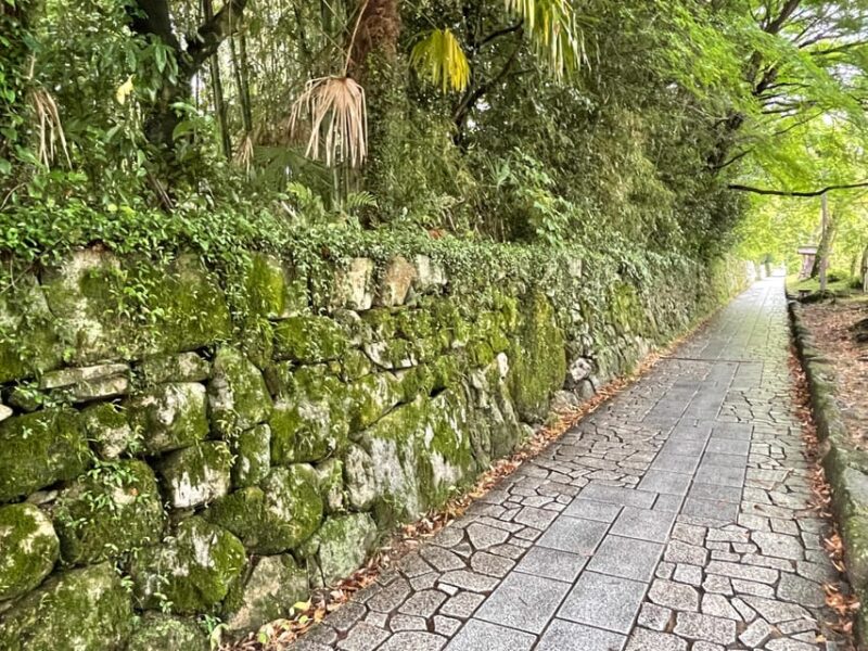 Kyoto: World Heritage Enryakuji and Monks Town Private Tour - Mount Hiei Views