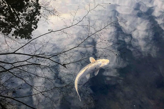 Kyoto: Zen Garden, Zen Mind (Private) - Exploring Zen Philosophy and Garden Design