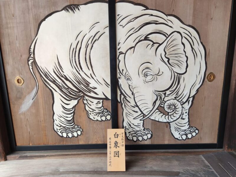 Kyotos Cherry Blossom Beauty: A 4-Hour Sakura Stroll - Admiring Doshisha University