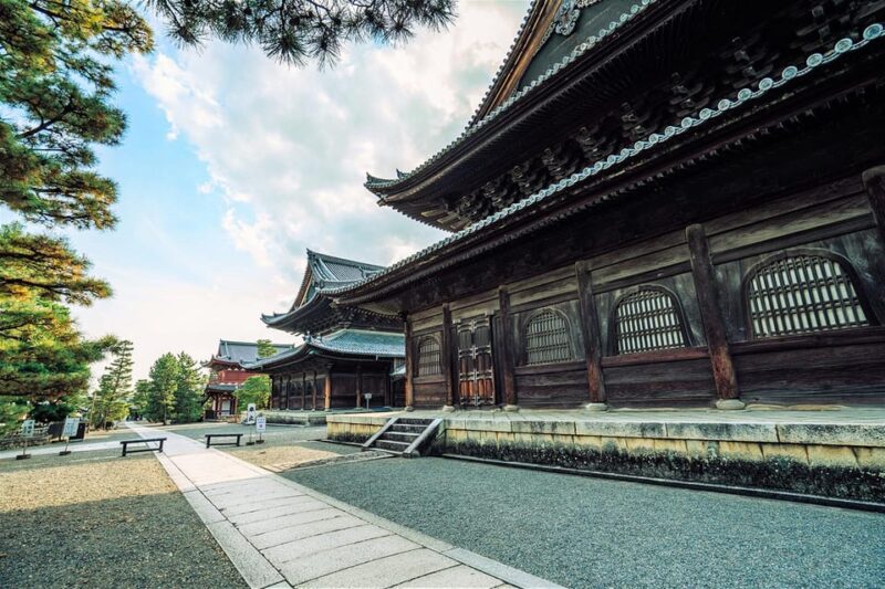 Kyotos Cherry Blossom Splendor: A 3-Hour Sakura Tour - Entrance Fees and Additional Notes