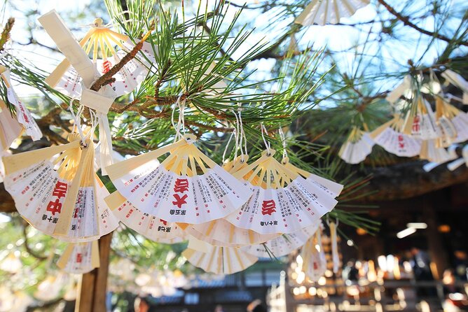 Kyotos Coast Amanohashidate and Ine Boathouse Full-Day Tour - Amanohashidate Scenic Ropeway