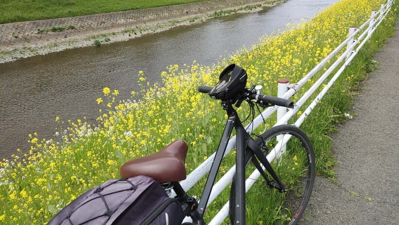 Kyoto:Three Gardens Bike Tour - The Experience and What Youll Love