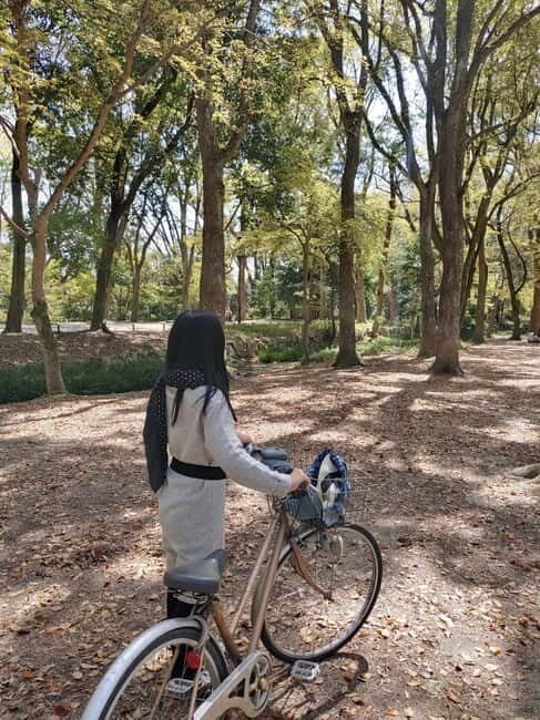Kyoto:Three Gardens Bike Tour - The Practicalities
